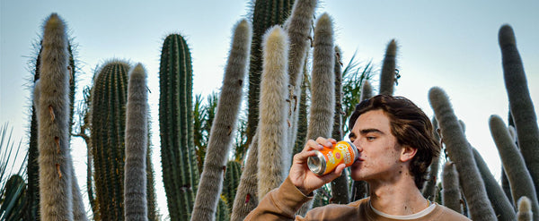 Bravus Brewing Company - America's First Non-Alcoholic Craft Brewery